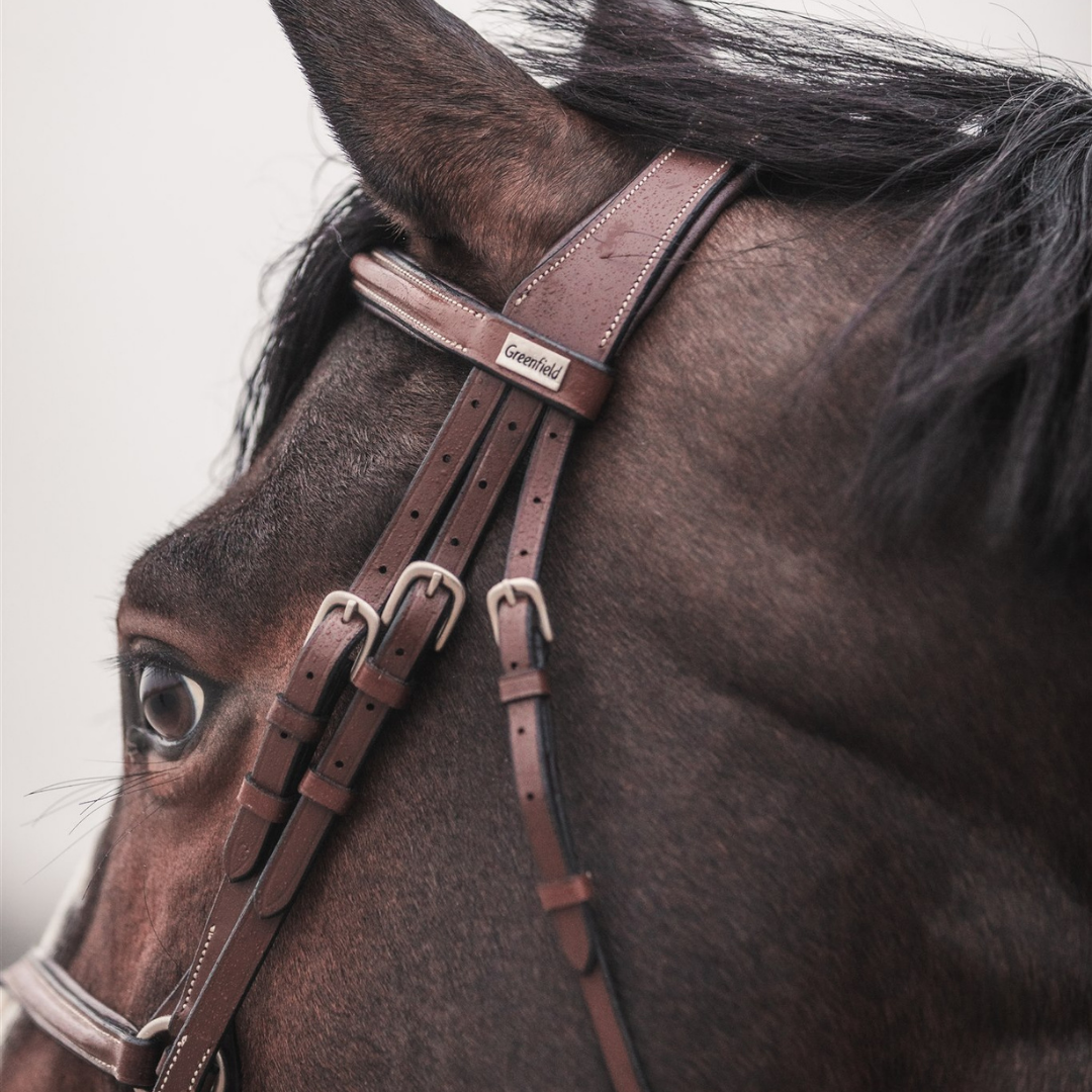 Mexico Bridle - Cow leather – Greenfield Selection